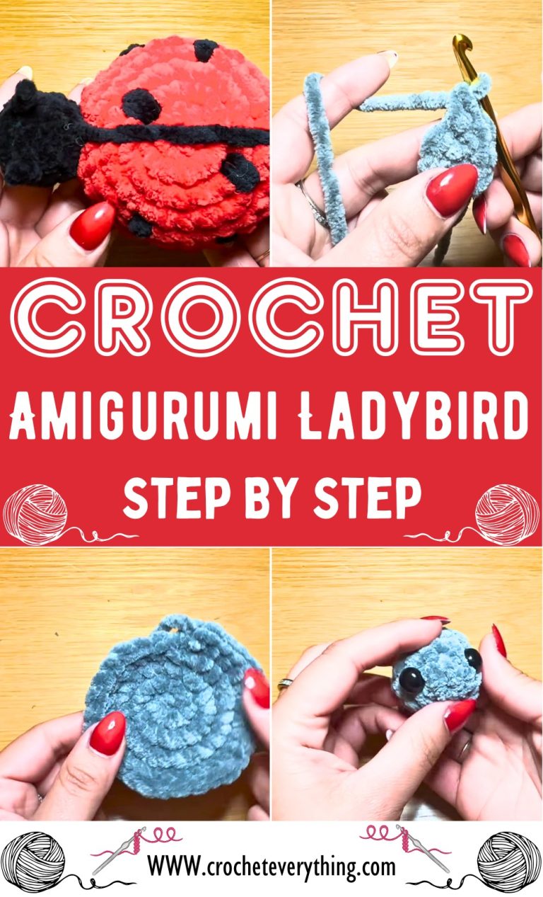 Crochet Amigurumi Ladybird Pattern Step By Step For Beginners - Crochet ...